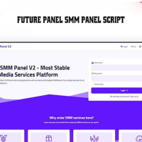Future SMM Panel Script With Payment Gateways - Comments | Codester